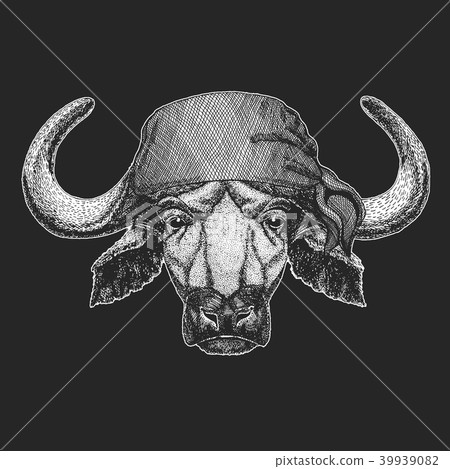 Buffalo, bull, ox Cool pirate, seaman, seawolf,... - Stock Illustration ...