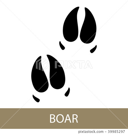 Trace of Animal Boar - Stock Illustration [39985297] - PIXTA