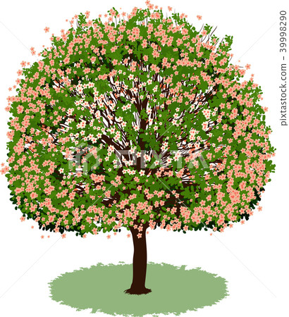 Beautiful tree with flowers - Stock Illustration [39998290] - PIXTA