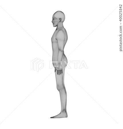 Human side view. Wireframe model with line - Stock Illustration ...
