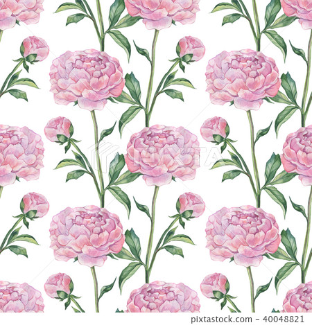Hand Drawn seamless pattern of Peonies - Stock Illustration [40048821 ...