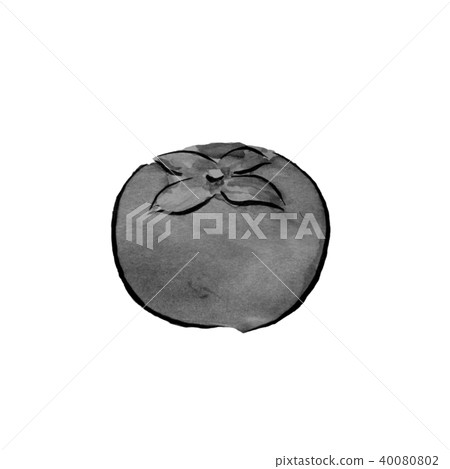 Persimmon ink painting - Stock Illustration [40080802] - PIXTA