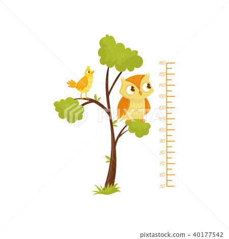 Pigeon Growth Chart