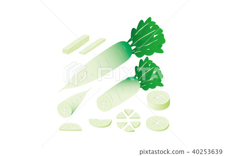 Cut vegetables dacon - Stock Illustration [40253639] - PIXTA
