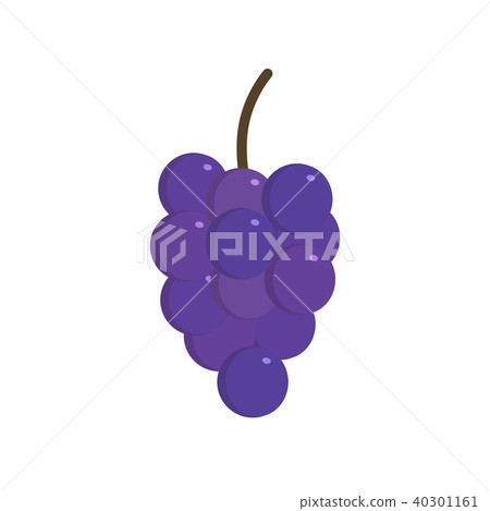 Bunches of purple grapes icon in flat design - Stock Illustration ...