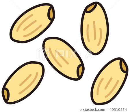 brown rice - Stock Illustration [40310854] - PIXTA