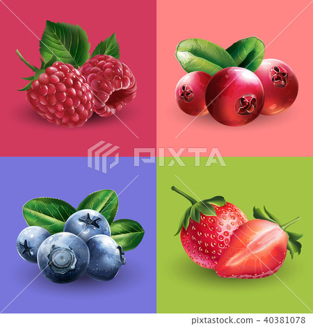 Raspberries, cranberries, blueberries and... - Stock Illustration ...