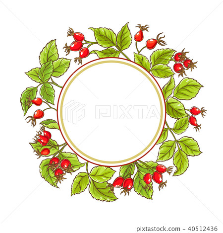 wild rose vector frame - Stock Illustration [40512436] - PIXTA