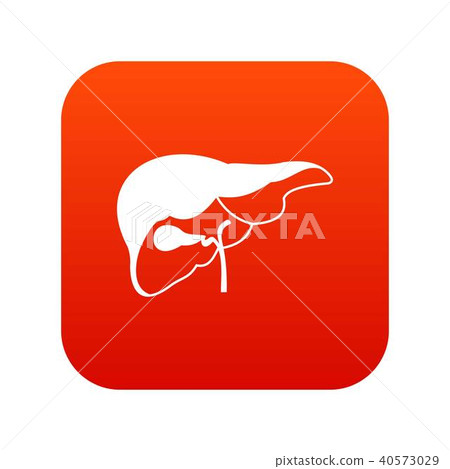 Liver icon digital red - Stock Illustration [40573029] - PIXTA