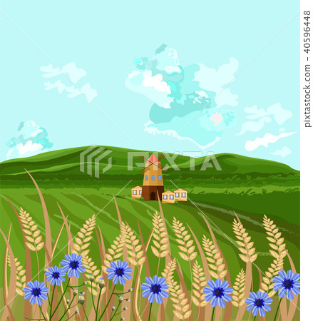 Green fields Vector. Spring background - Stock Illustration [40596448 ...