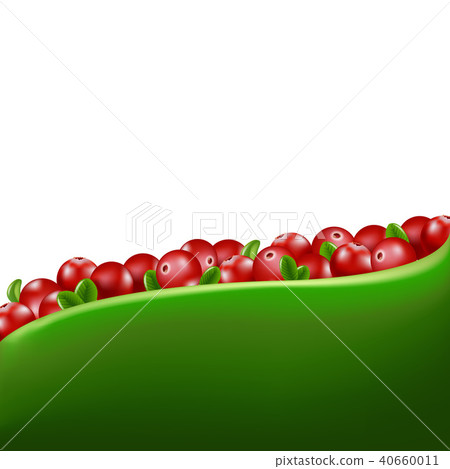 Red Cranberry Border - Stock Illustration [40660011] - PIXTA