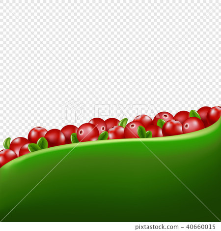 Red Cranberry Border Transparent Background - Stock Illustration ...