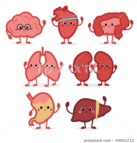 Cute smiling happy human healthy strong organs set - Stock Illustration ...