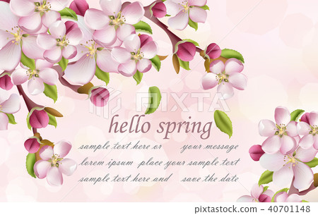 Cherry flowers Spring background Vector - Stock Illustration [40701148 ...