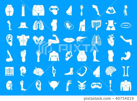 Human body icon blue set vector - Stock Illustration [40734819] - PIXTA