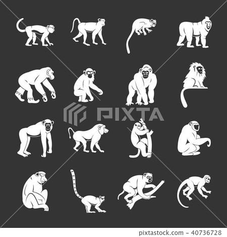 Monkey types icons set grey vector - Stock Illustration [40736728] - PIXTA