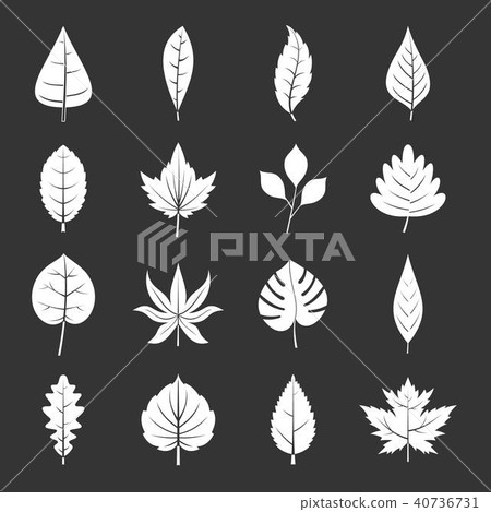 Plant leafs icons set grey vector - Stock Illustration [40736731] - PIXTA