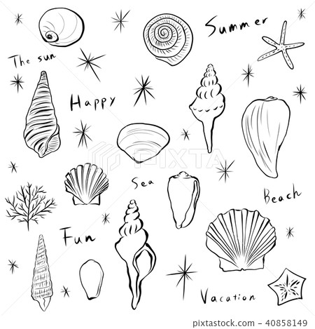 Seashell vector material summer black & white - Stock Illustration ...