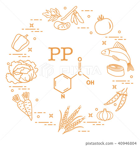 Foods rich in vitamin PP - Stock Illustration [40946804] - PIXTA