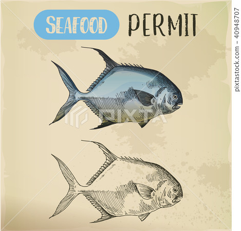 Sketch of permit or game fish. Seafood - Stock Illustration [40948707 ...