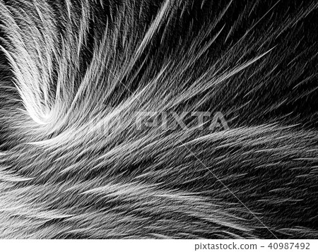 Fur texture - abstract digitally generated image-插圖素材 [40987492] - PIXTA圖庫