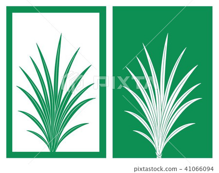 pandan vector - Stock Illustration [41066094] - PIXTA