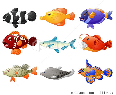 Fish cartoon set - Stock Illustration [41118095] - PIXTA