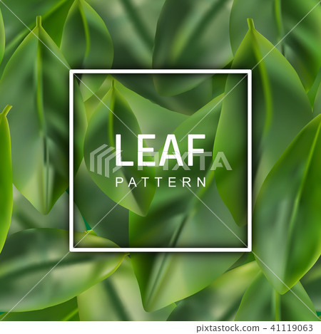 Leaf Vector Realistic Background - Stock Illustration [41119063] - PIXTA