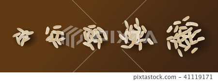 Realistic Vector Rice Isolated - Stock Illustration [41119171] - PIXTA