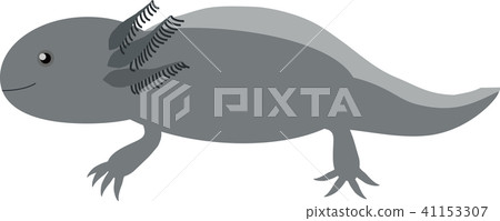 Wooper looper - Stock Illustration [41153307] - PIXTA