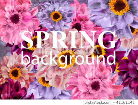 Vintage Spring background with colorful daisy - Stock Illustration ...