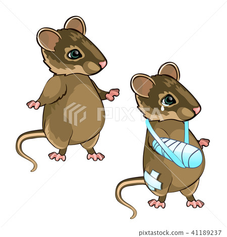 Healthy and diseased mouse isolated on white... - Stock Illustration ...