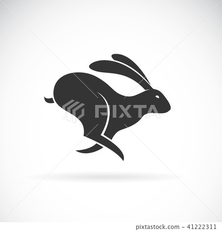 Vector of black rabbit is running. Animal. - Stock Illustration ...