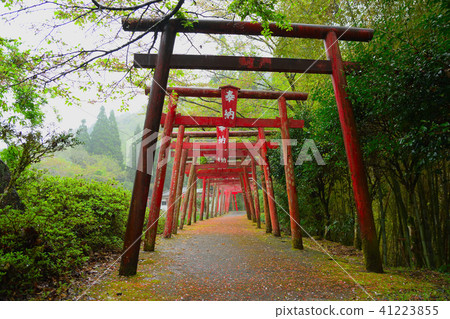 Ryujin Hanaguri Shrine Shrine - Stock Photo [41223855] - PIXTA