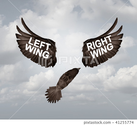 Right And Left Wing Political Problem-插圖素材 [41255774] - PIXTA圖庫