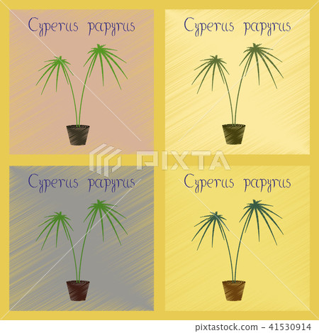 assembly flat style Illustrations plant Cyperus - Stock Illustration ...