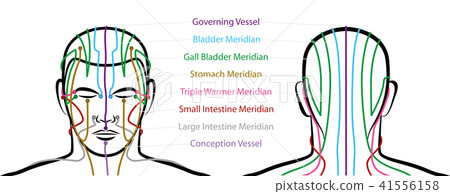 Meridians Male Head Acupuncture Points-插圖素材 [41556158] - PIXTA圖庫
