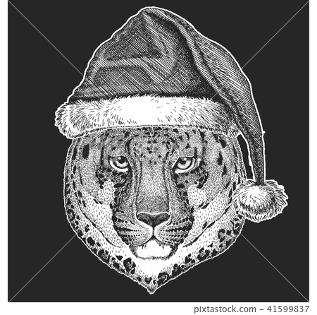 Wild cat, Leopard, Panther Christmas, new year... - Stock Illustration ...