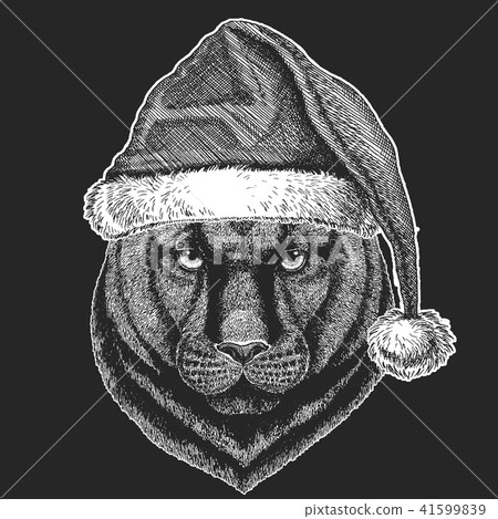 Panther, Puma, Cougar, Wild cat Christmas, new... - Stock Illustration ...