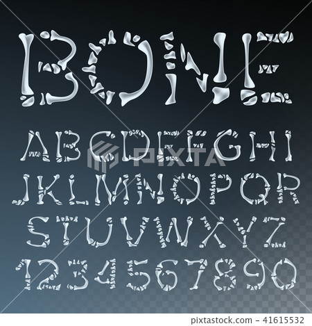 Bone Font Vector. Letters Anatomy. ABC... - Stock Illustration ...