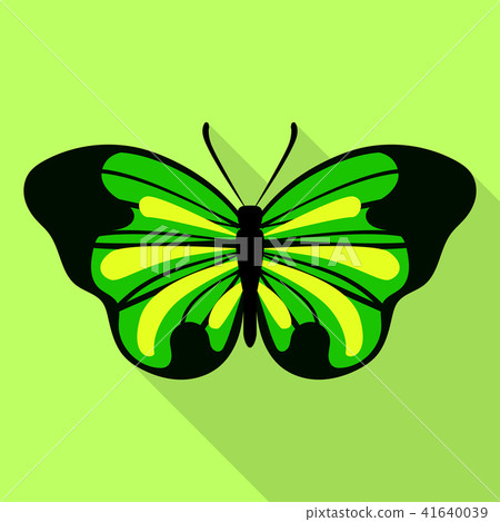 Big green butterfly icon, flat style - Stock Illustration [41640039 ...