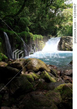 Kikuchi Valley in the early summer A stream of... - Stock Photo ...
