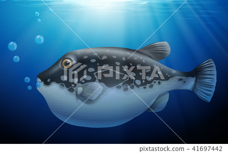 Puffer Fish in the Deep Ocean - Stock Illustration [41697442] - PIXTA