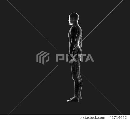 Side view of human body. Wireframe model - Stock Illustration [41714632 ...