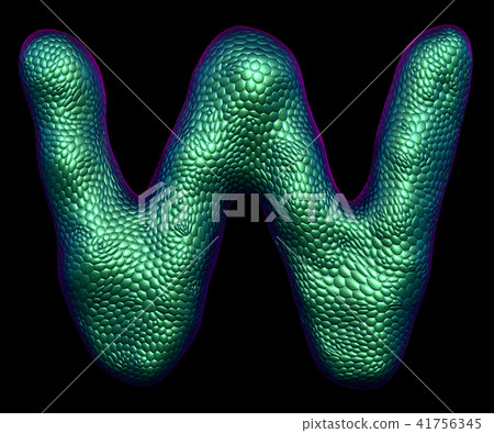 Letter W made of natural green snake skin... - Stock Illustration ...
