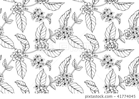 Seamless Coffee flower pattern background. - Stock Illustration ...