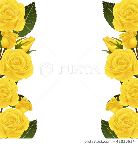 Yellow Rose Flower Border - Stock Illustration [41826634] - PIXTA