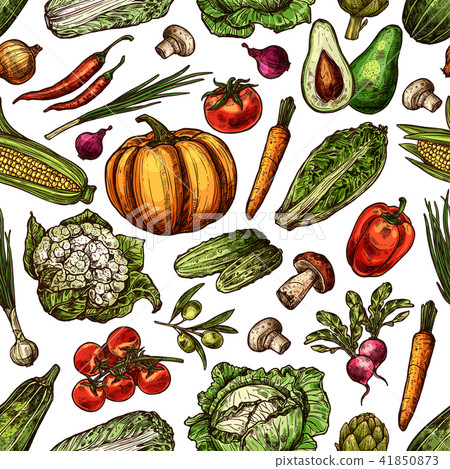 Vegetables natural fresh sketch vector backdrop - Stock Illustration ...
