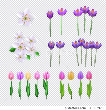 Spring flowers set on transparent background... - Stock Illustration ...