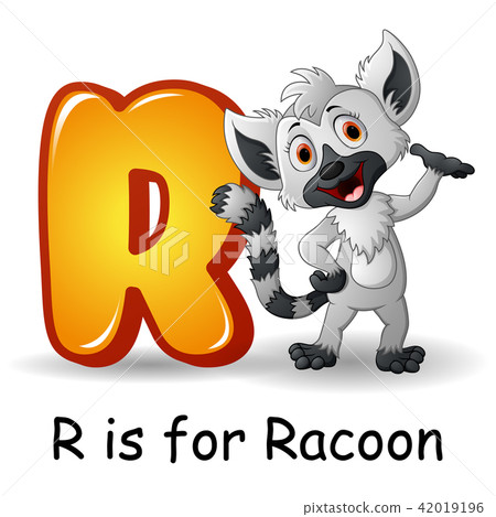 Animals alphabet: R is for Raccoon - Stock Illustration [42019196] - PIXTA
